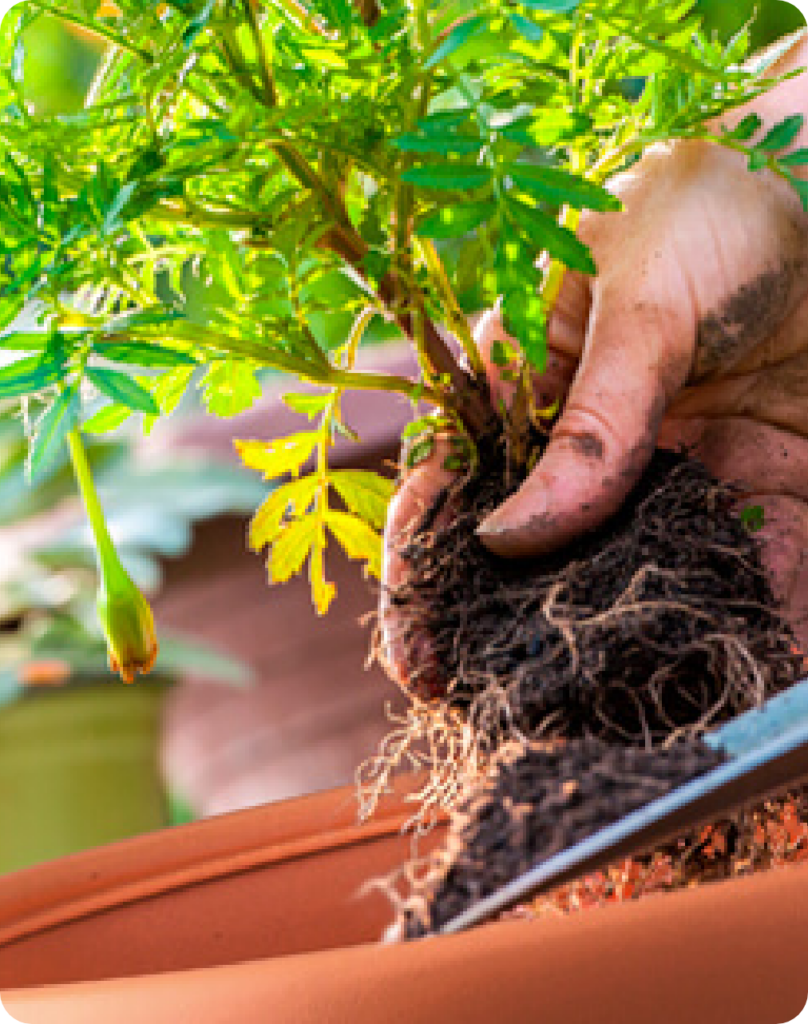 Plastime – plastic with passion